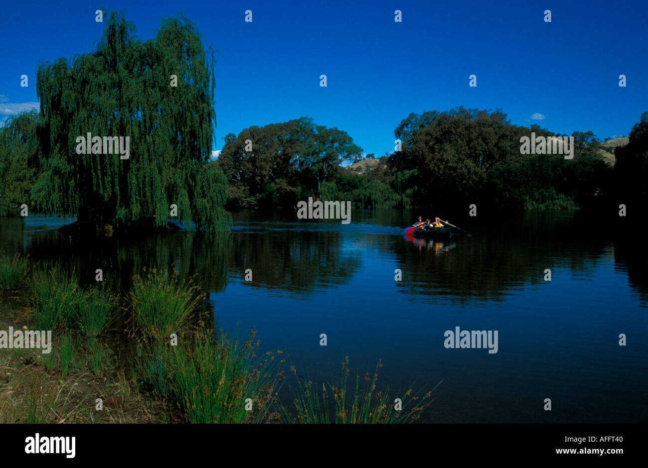 Albury murray river new south wales hi-res stock photography and images ...
