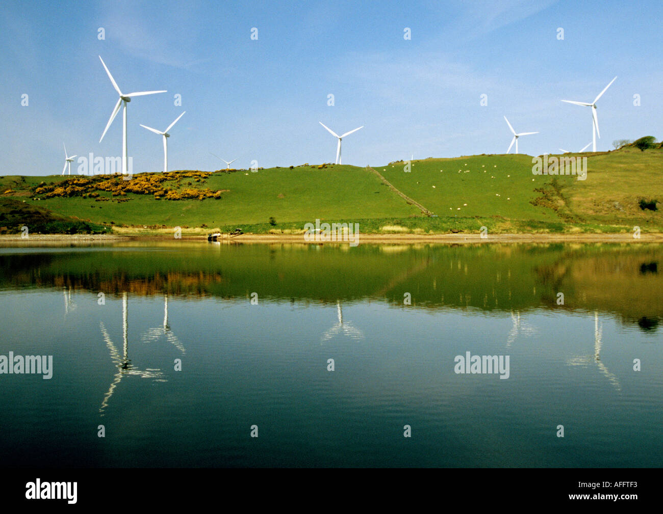 Busbie High Resolution Stock Photography and Images - Alamy