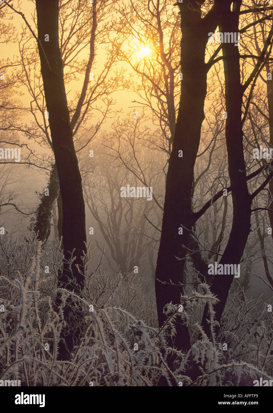Back walk stirling hi-res stock photography and images - Alamy
