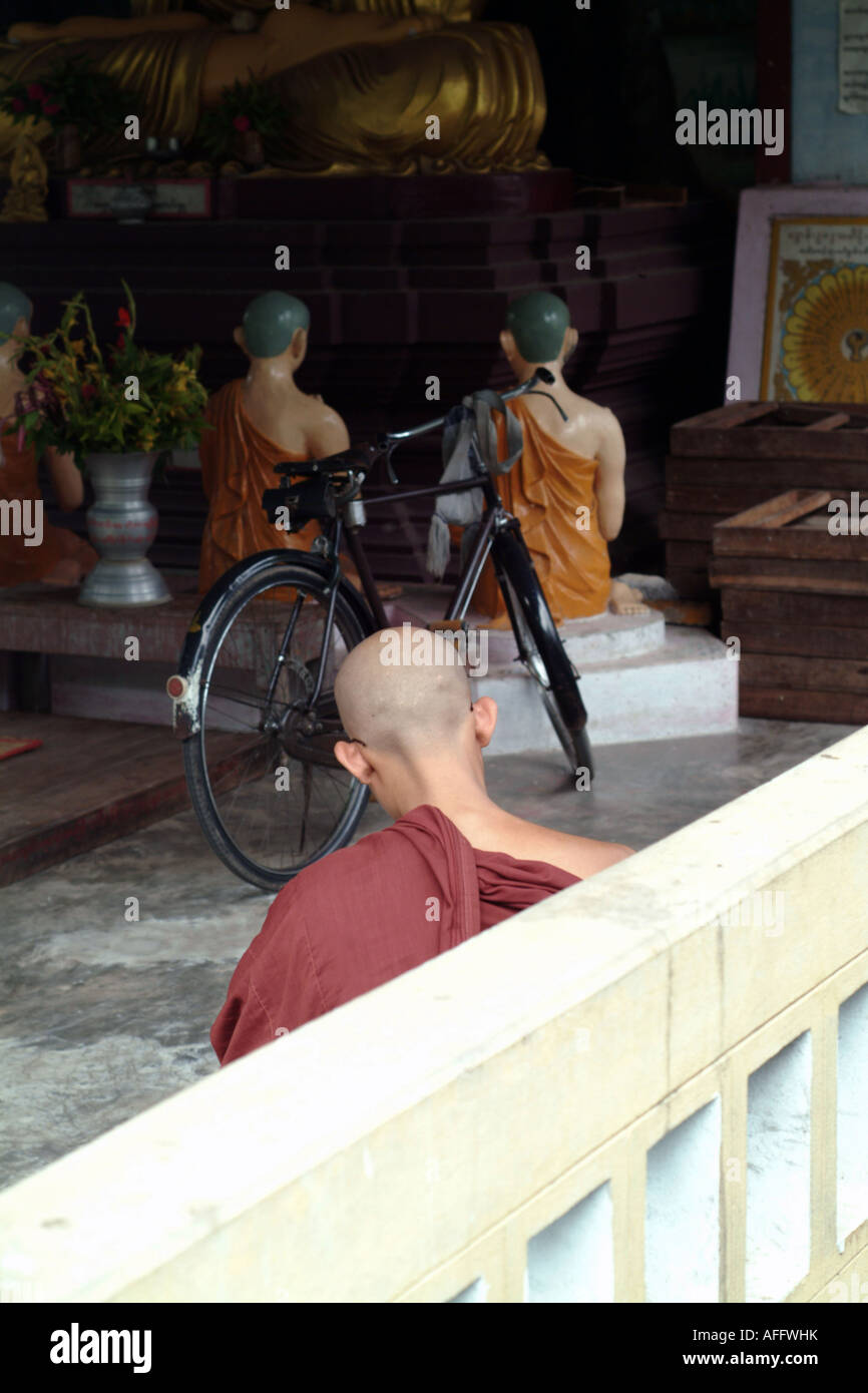 A Buddhist monk sits in a monastery studying a book Stock Photo - Alamy