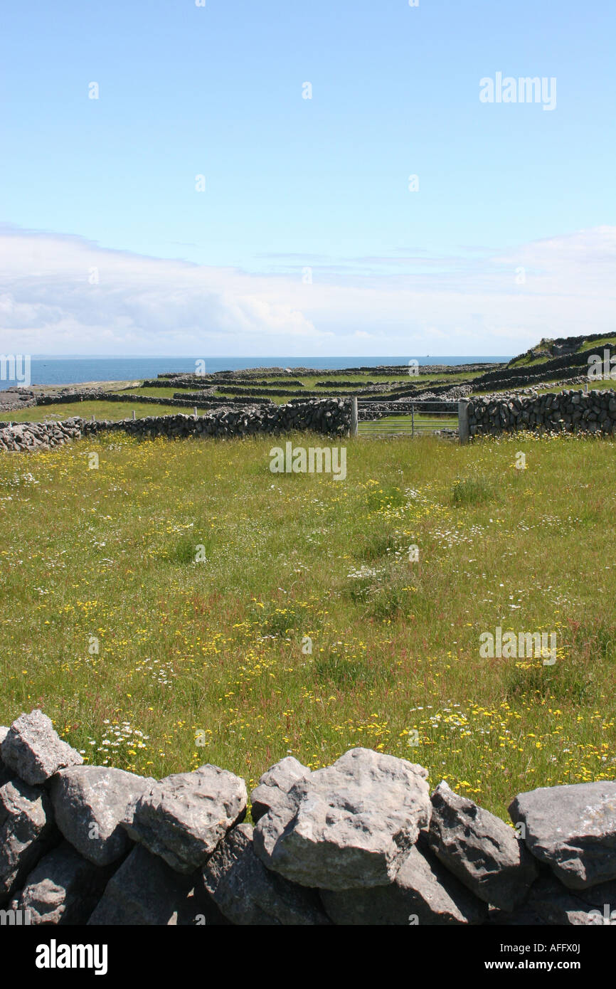 Inis more hi-res stock photography and images - Alamy