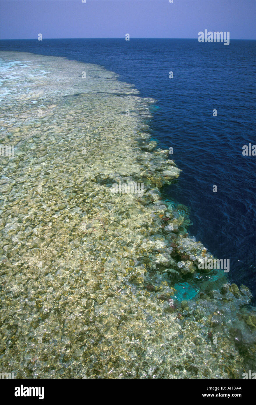Red sea coral reef saudi hi-res stock photography and images - Alamy