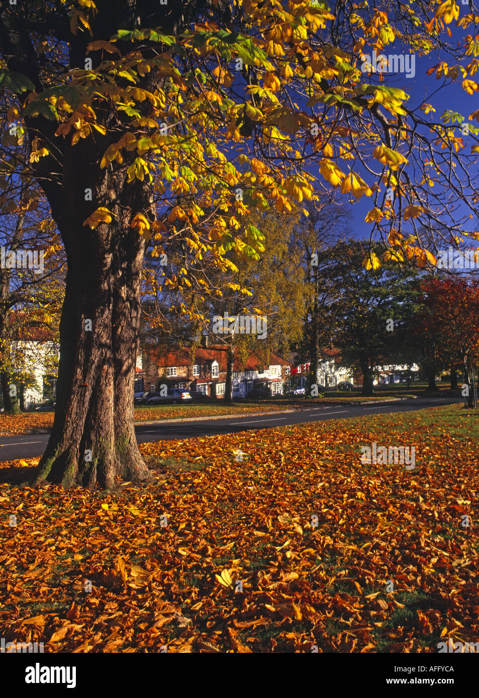 Hutton rudby hi-res stock photography and images - Alamy