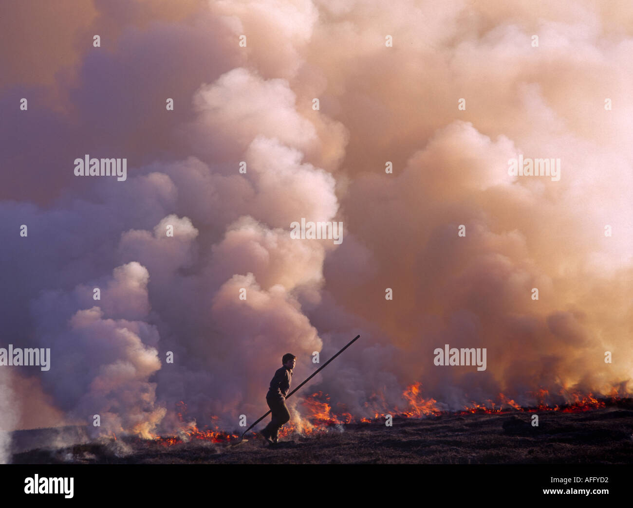 Burning to promote new growth hi-res stock photography and images - Alamy