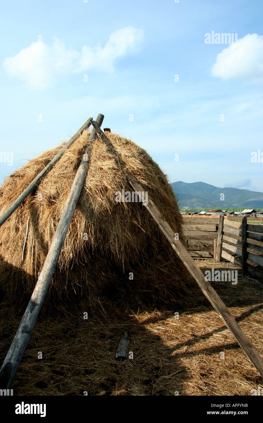 Siberian haystack hi-res stock photography and images - Alamy