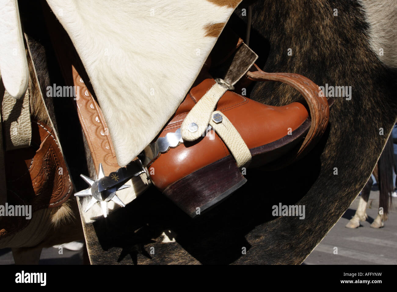 Gaucho argentina pampa cow hi-res stock photography and images - Alamy