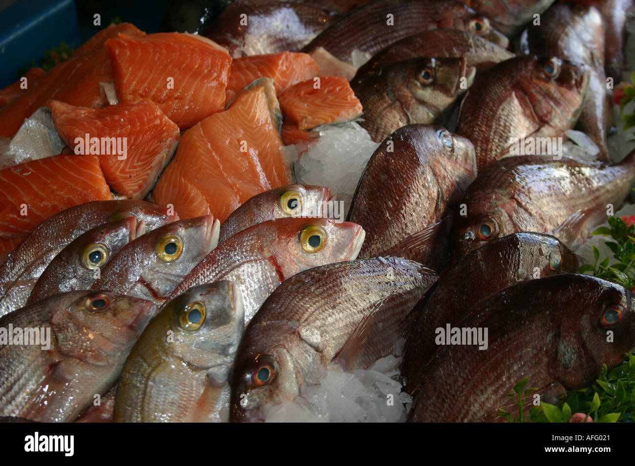 Malta Fish Fisch Stock Photo - Alamy