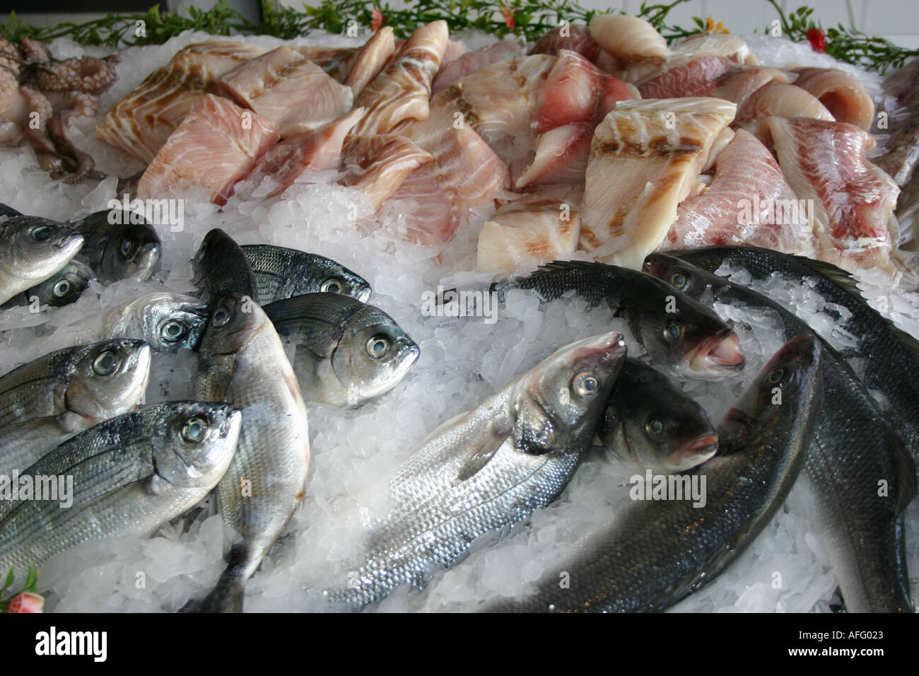 Malta Fish Fisch Stock Photo - Alamy