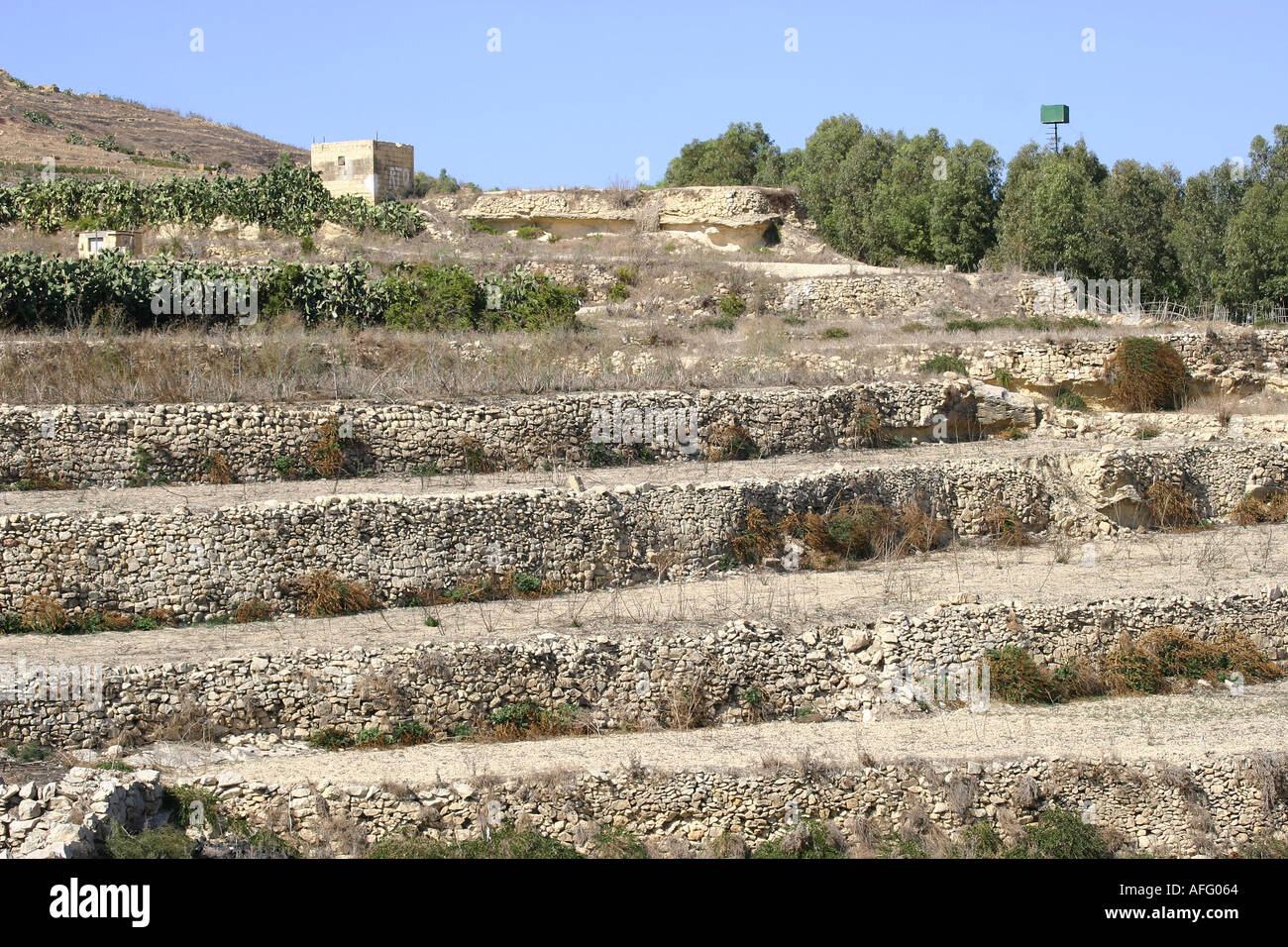 Malta Gozo Insel Island Stock Photo - Alamy