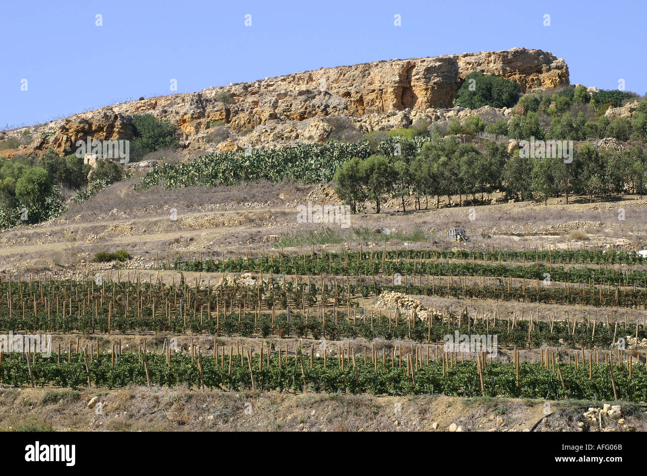 Malta Gozo Insel Island Stock Photo - Alamy