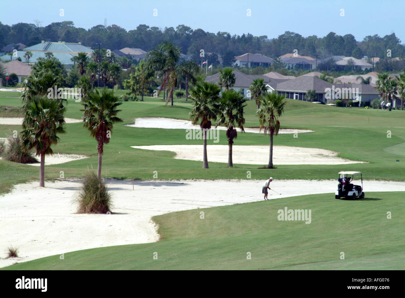 Summerfield florida hi-res stock photography and images - Alamy