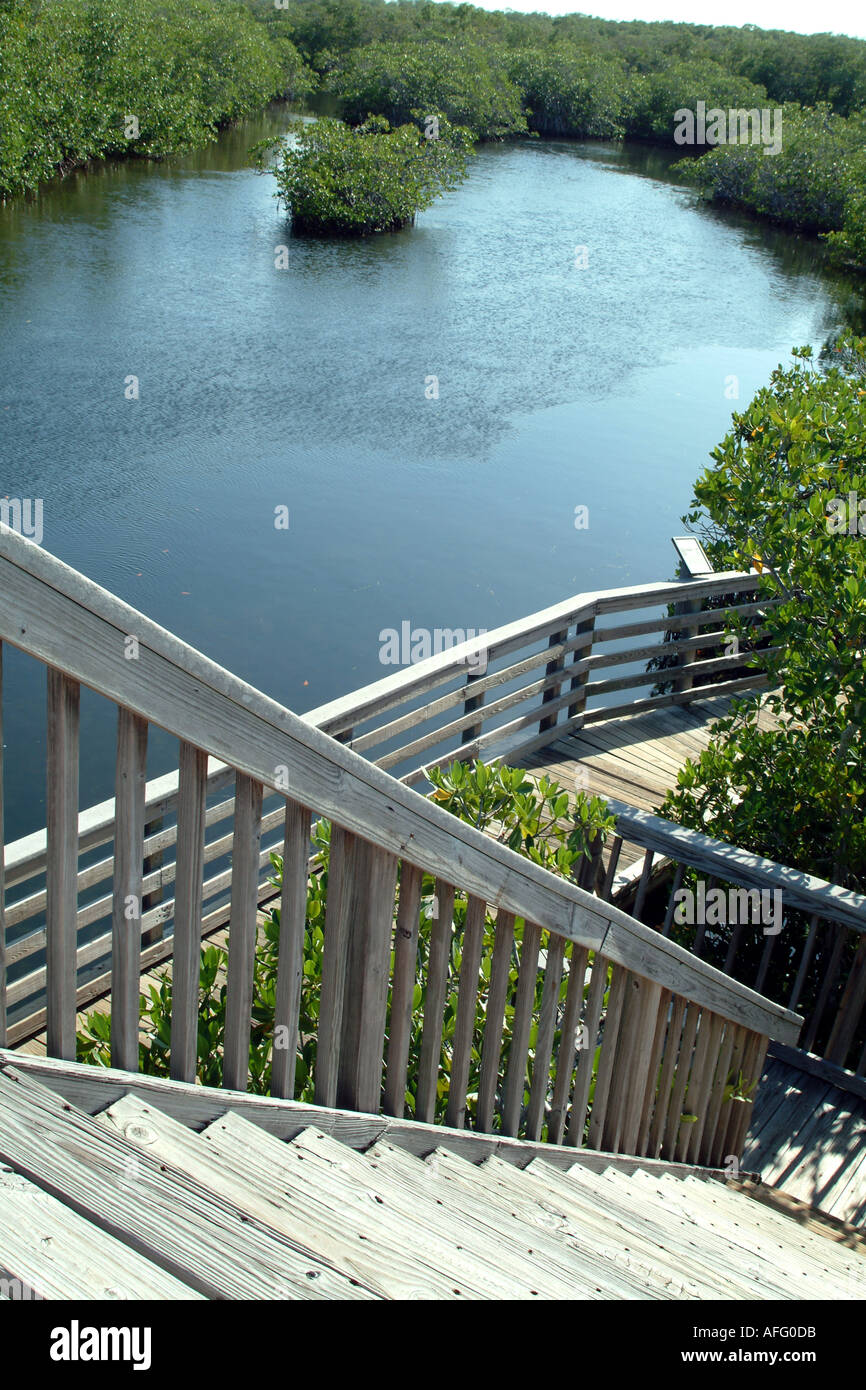 Key Largo The Keys fl Florida USA the John Pennekamp Coral Reef State ...