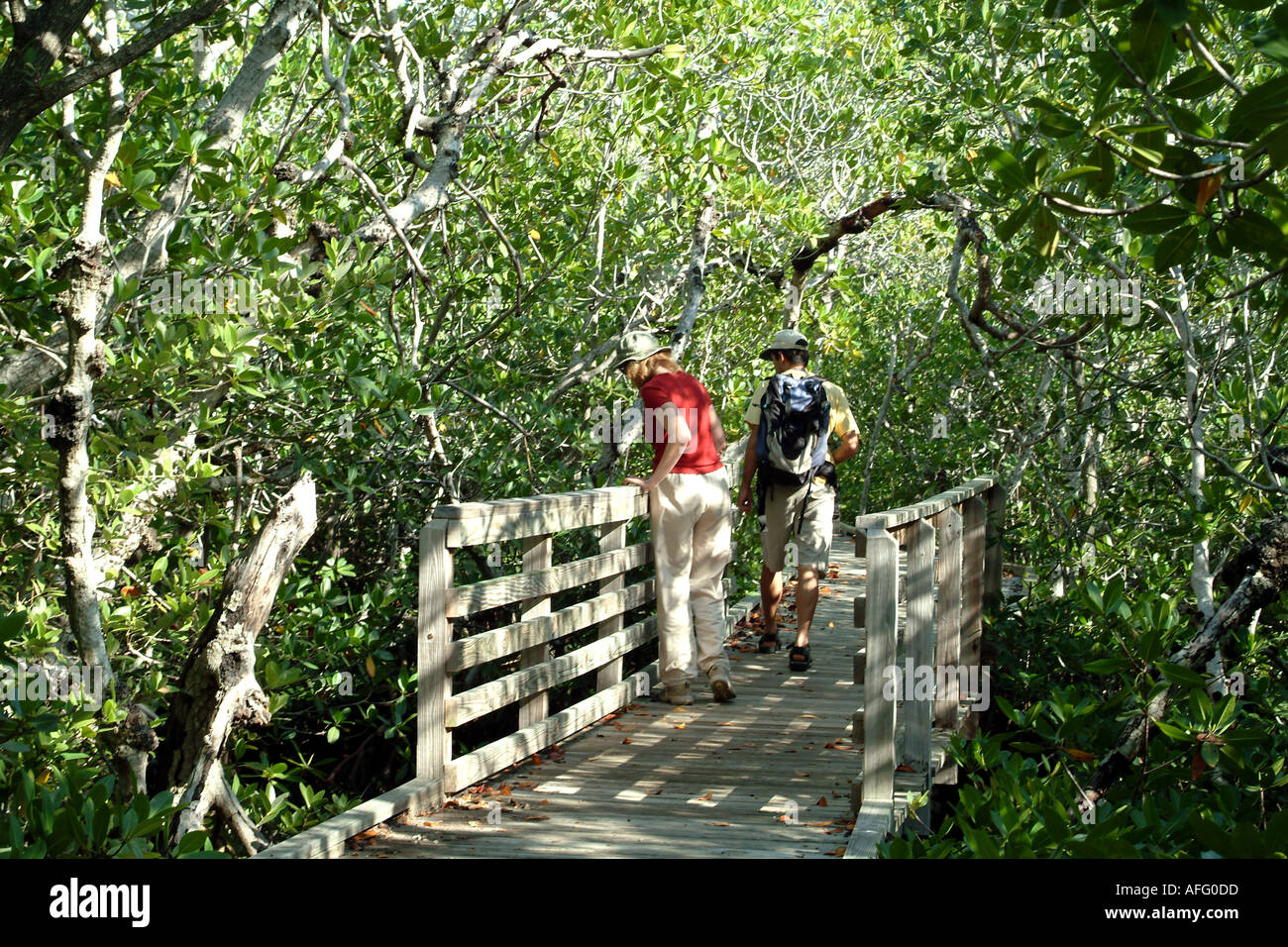 Key Largo The Keys fl Florida USA the John Pennekamp Coral Reef State ...