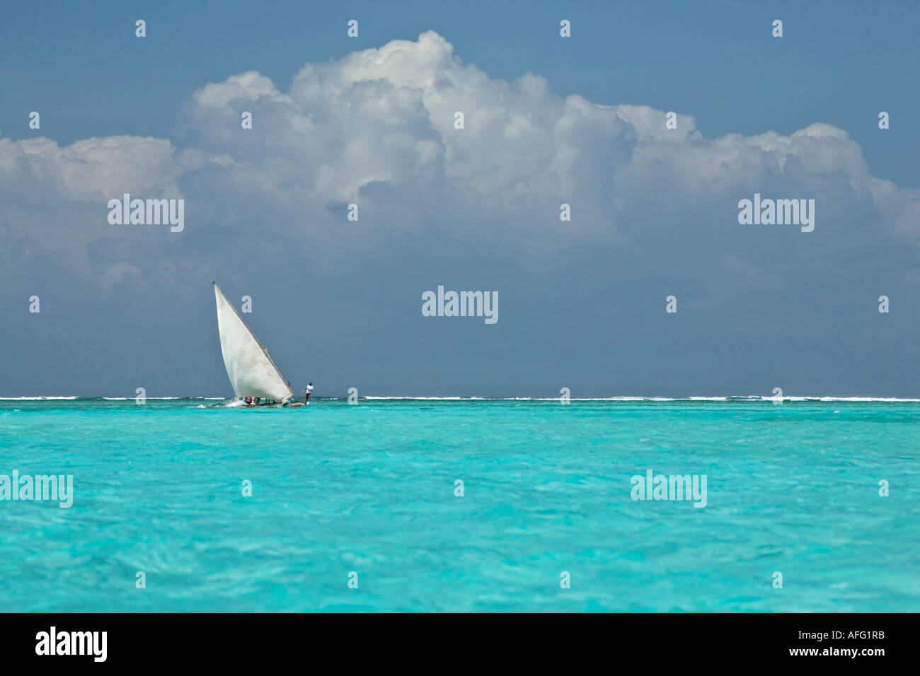 Traditional East African Dhow sailing on the Indian Ocean, Jambiani ...