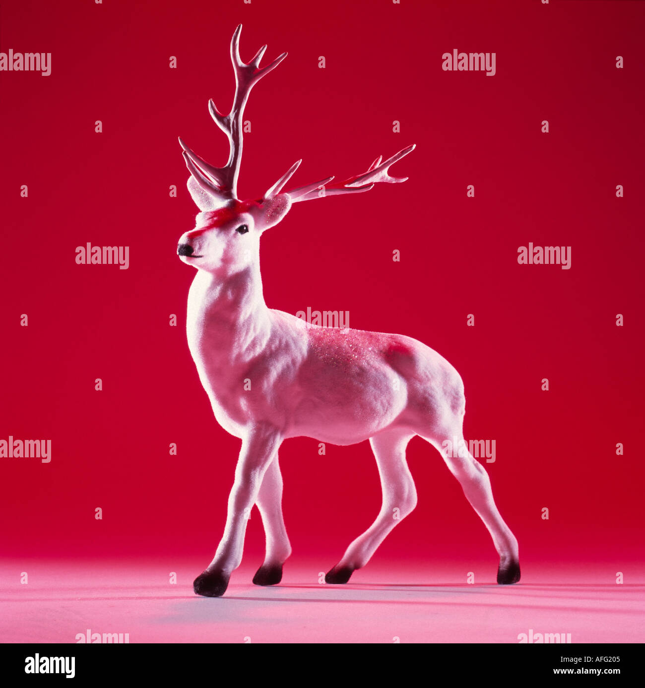 Red nosed reindeer hi-res stock photography and images - Alamy