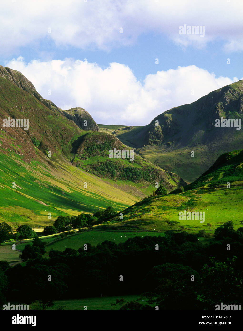Summer newlands valley hi-res stock photography and images - Alamy