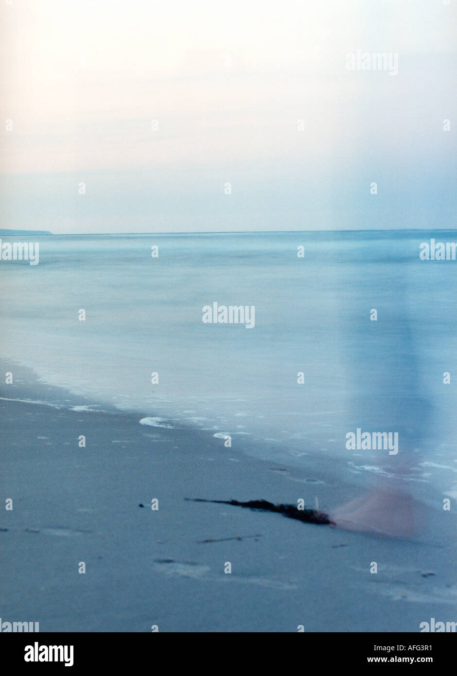 Reprehend hi-res stock photography and images - Alamy