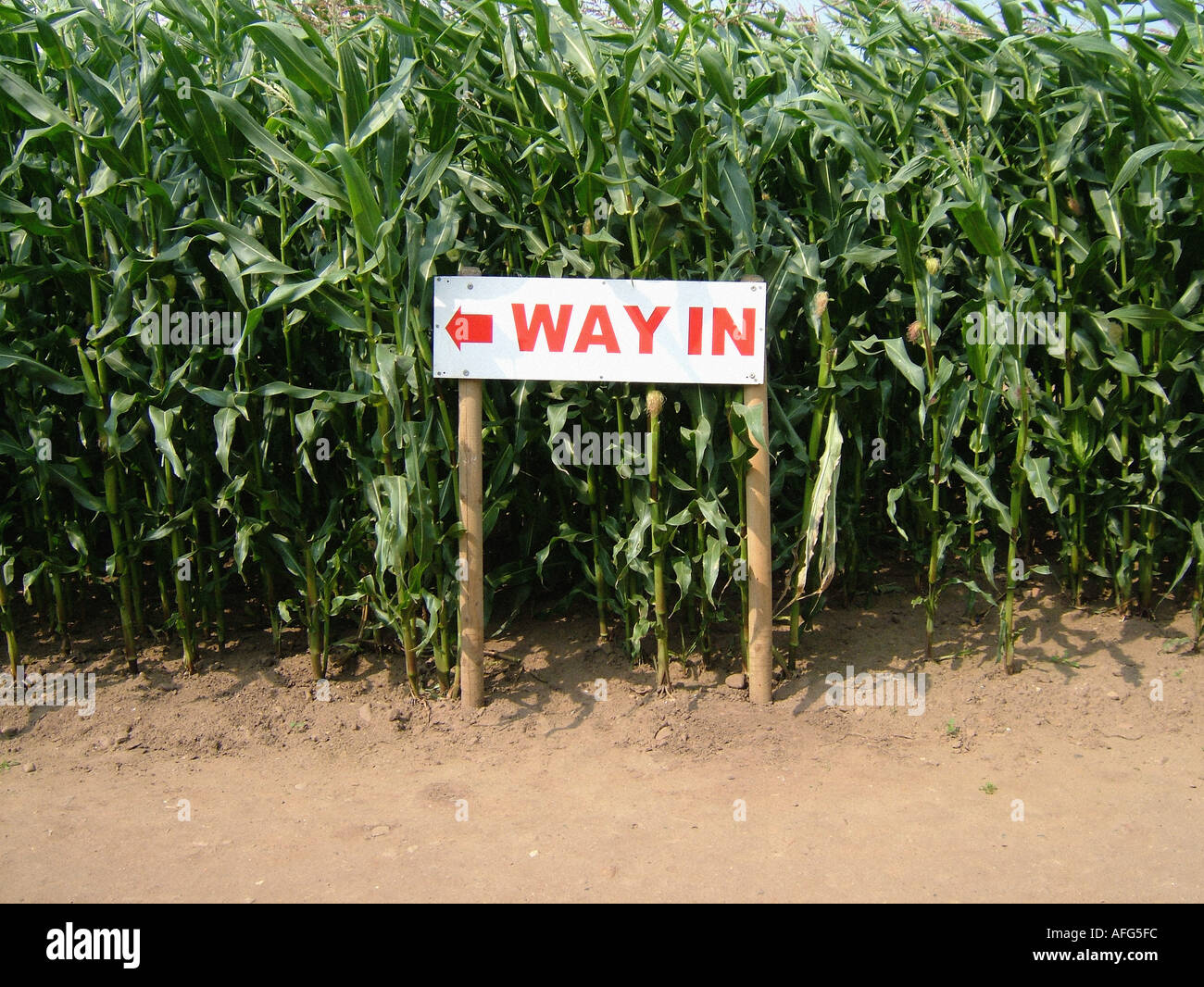 WAY IN sign Stock Photo - Alamy