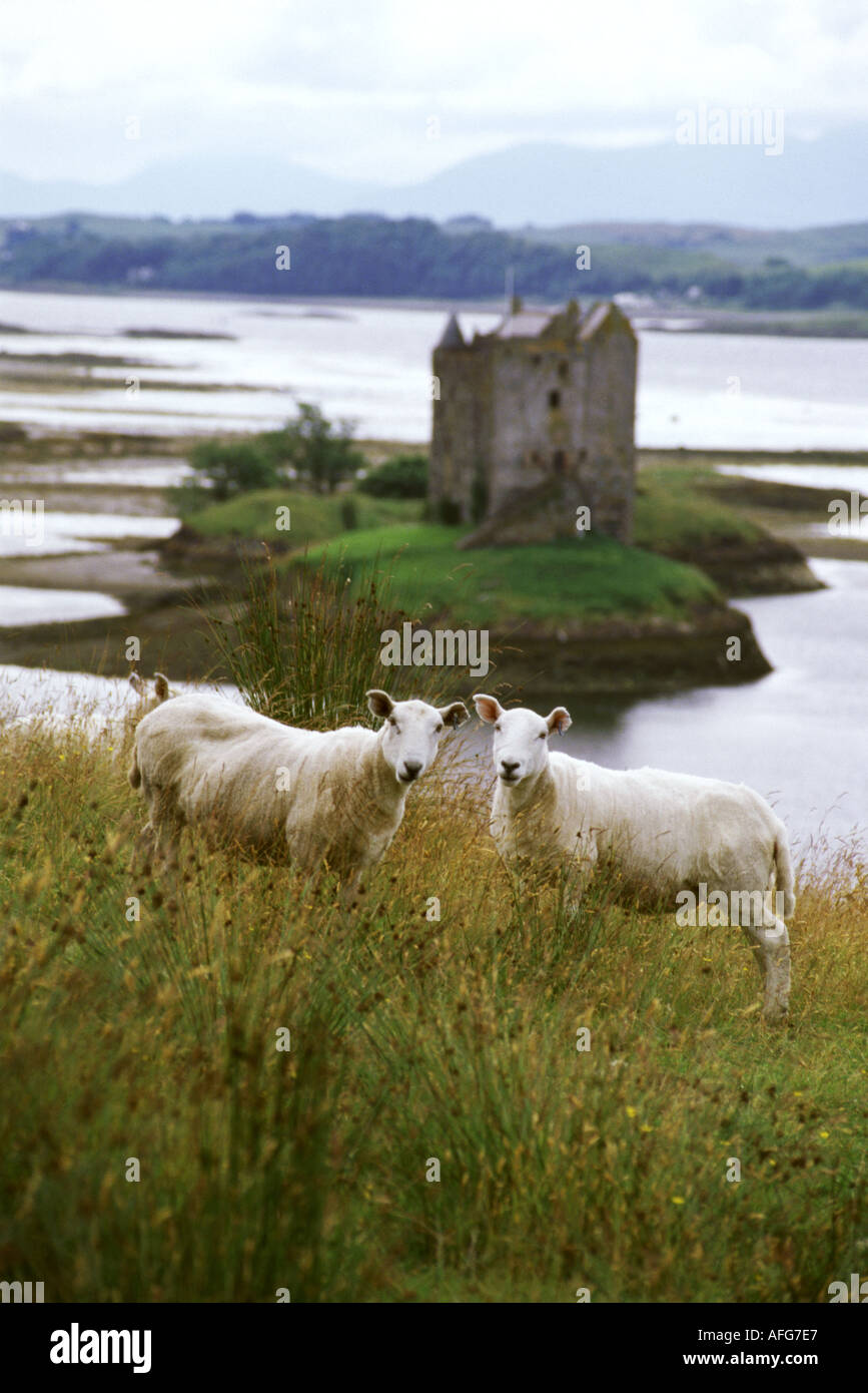 Island of shuna hi-res stock photography and images - Alamy
