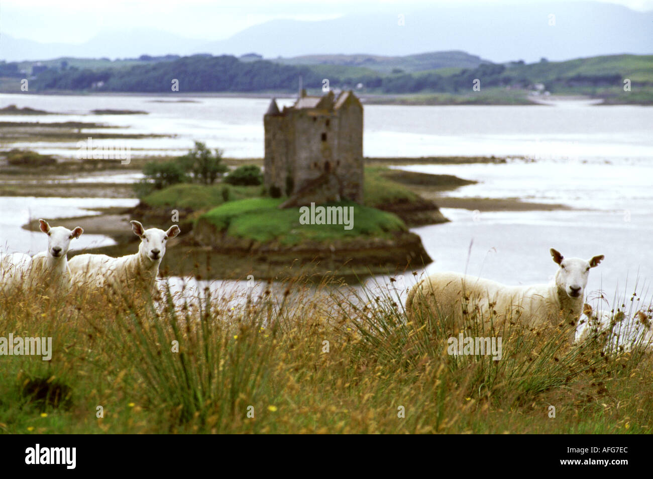 Island of shuna hi-res stock photography and images - Alamy