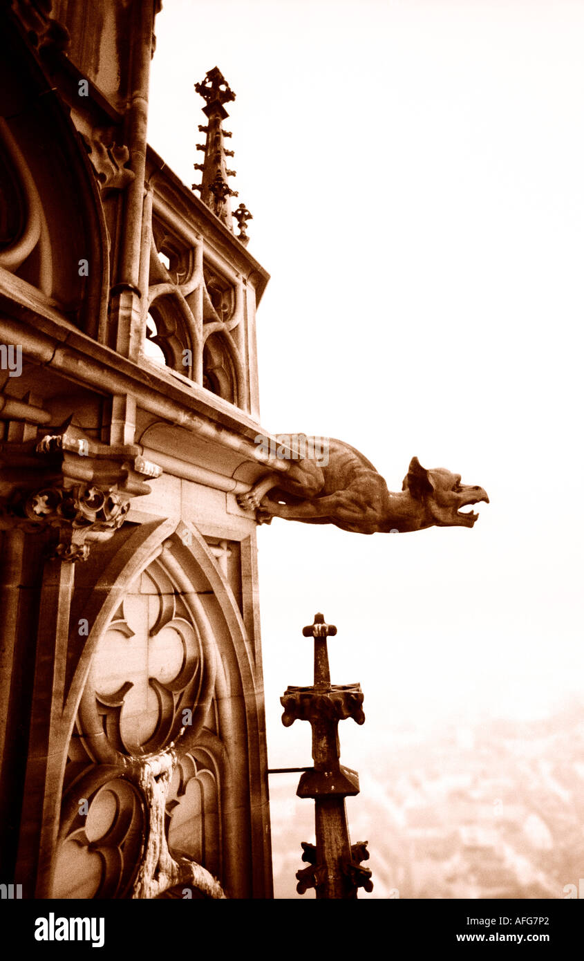 Gargoyle colored hi-res stock photography and images - Alamy