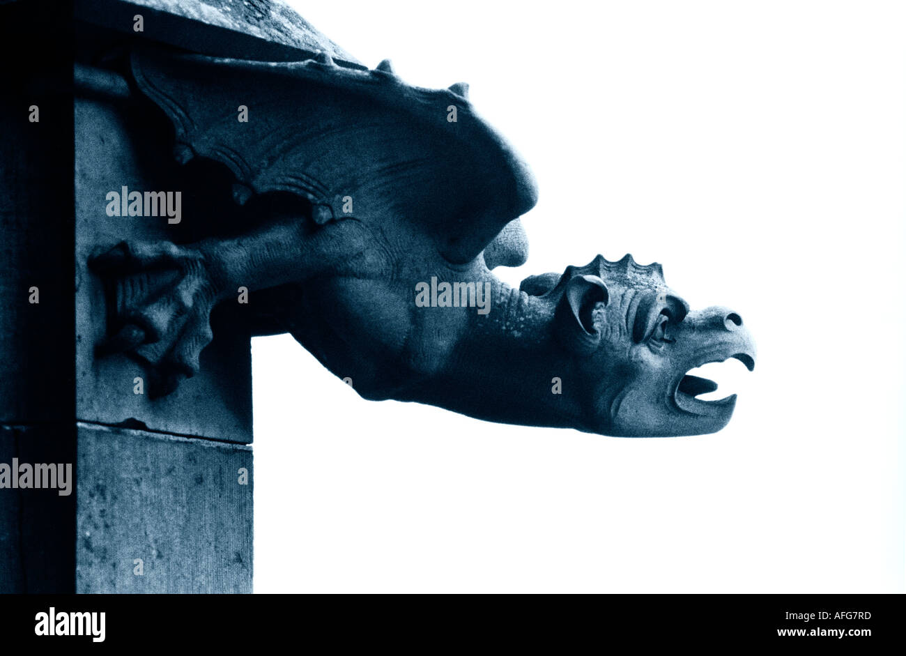 Gargoyle colored hi-res stock photography and images - Alamy