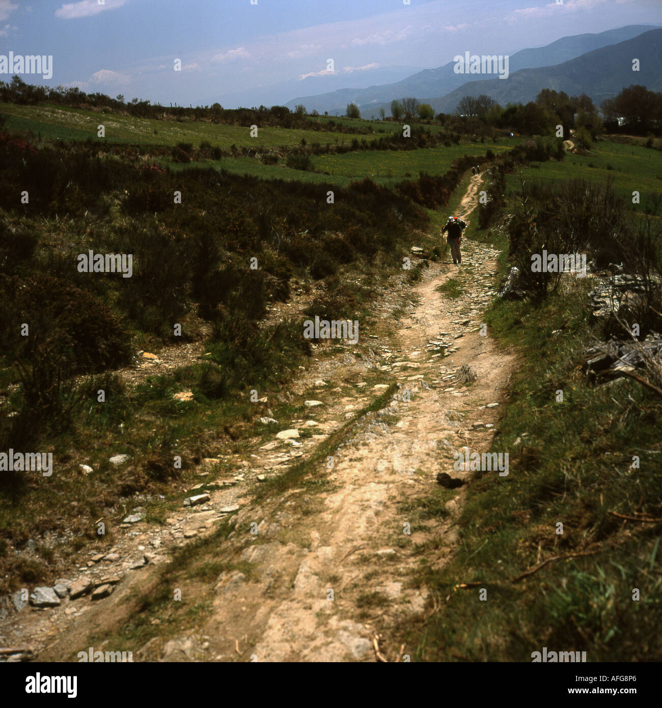 Power bulge hi-res stock photography and images - Alamy