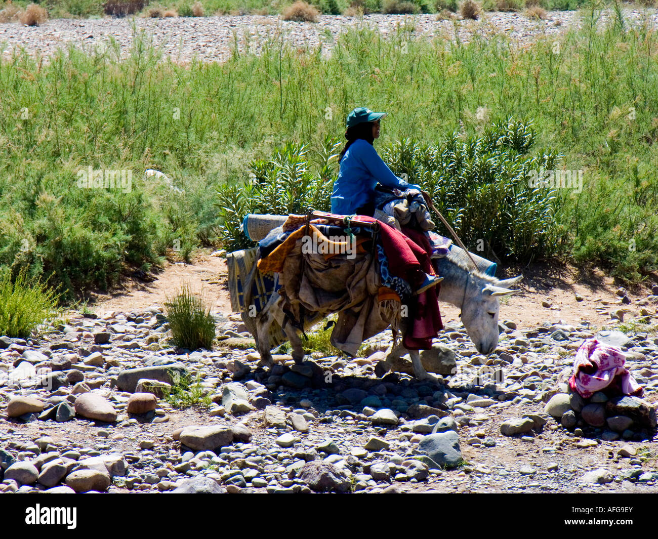 Woman riding donkey hi-res stock photography and images - Alamy
