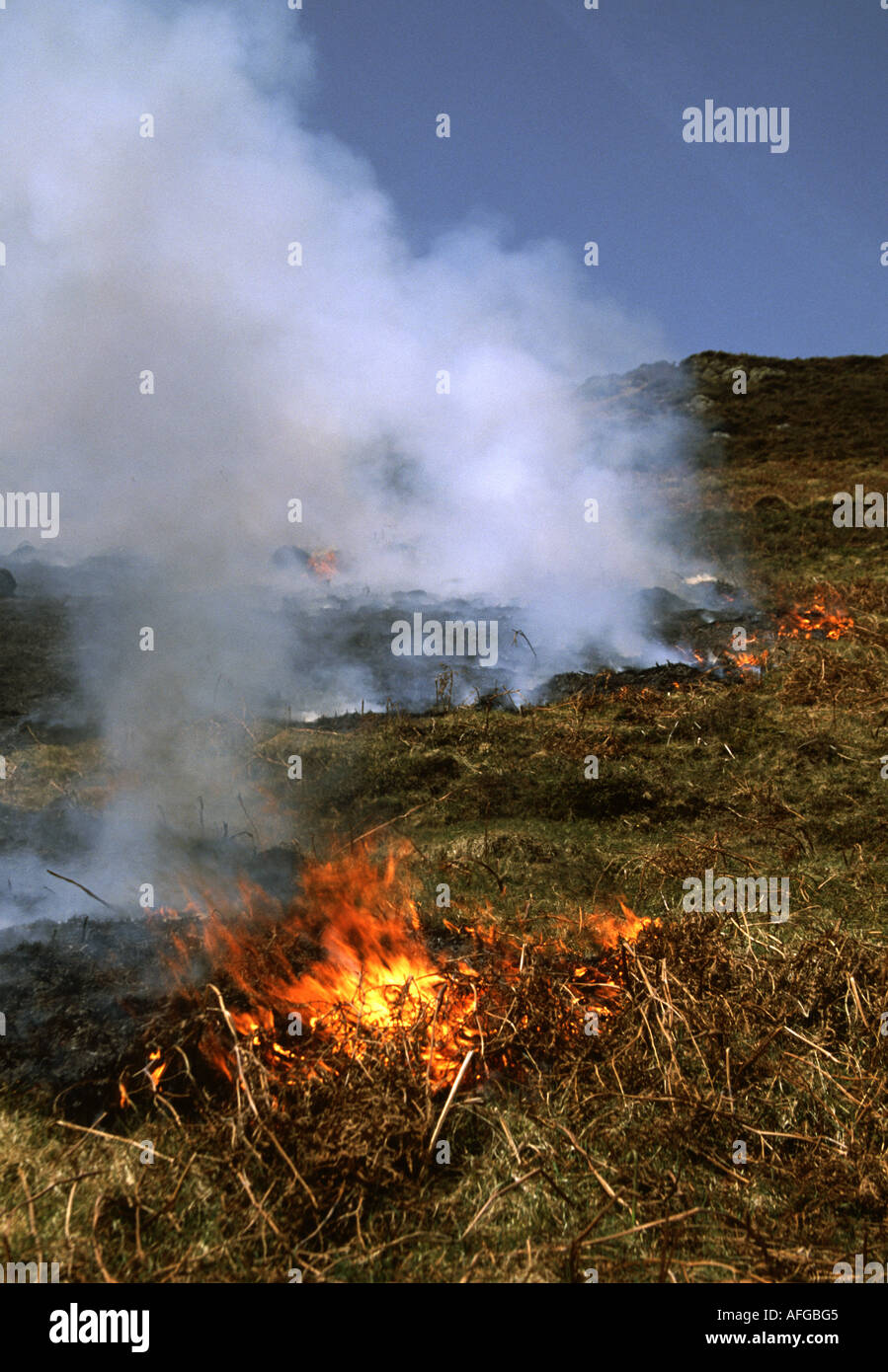 Fell fighting hi-res stock photography and images - Alamy