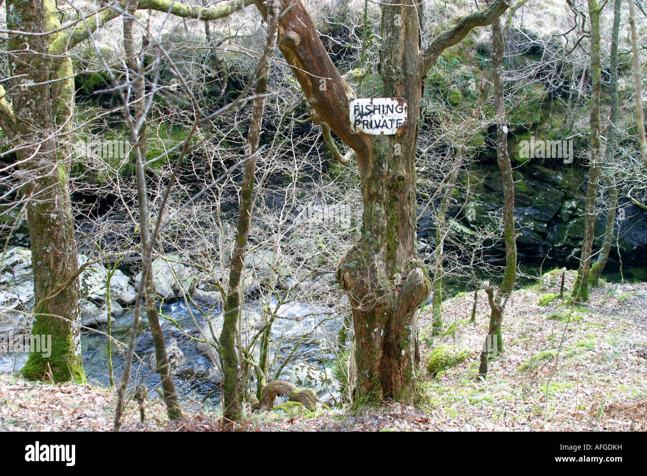 Private Fishing sign in tree near river Stock Photo - Alamy