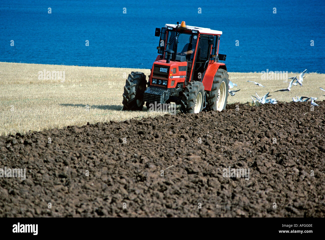 Same EXPLORER 60VDT Red Tractor spring ploughing on coastal farm with ...
