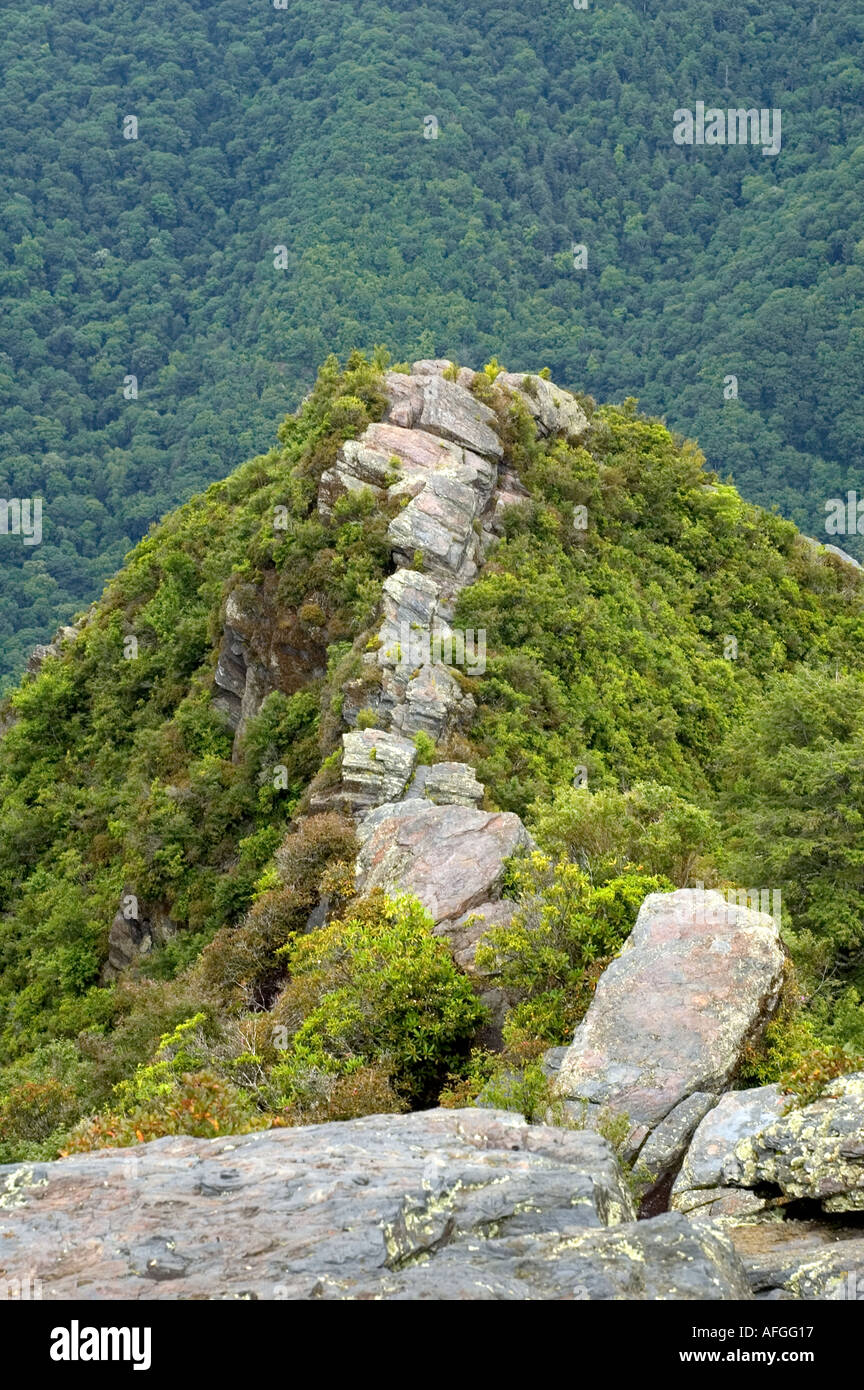 Chimney Tops Trail High Resolution Stock Photography and Images - Alamy