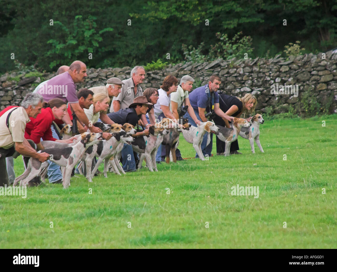 Hounds and owners wait for the start of the Hound trail Rydal Stock ...