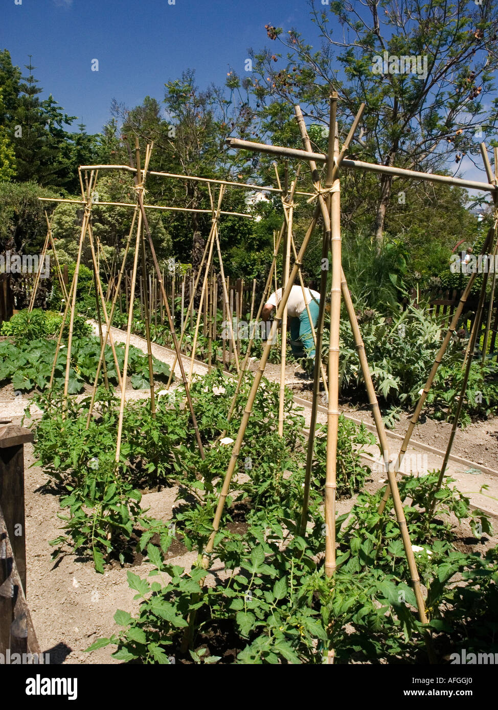 A model kitchen garden in the Parc Phoenix botanical gardens in Nice on ...
