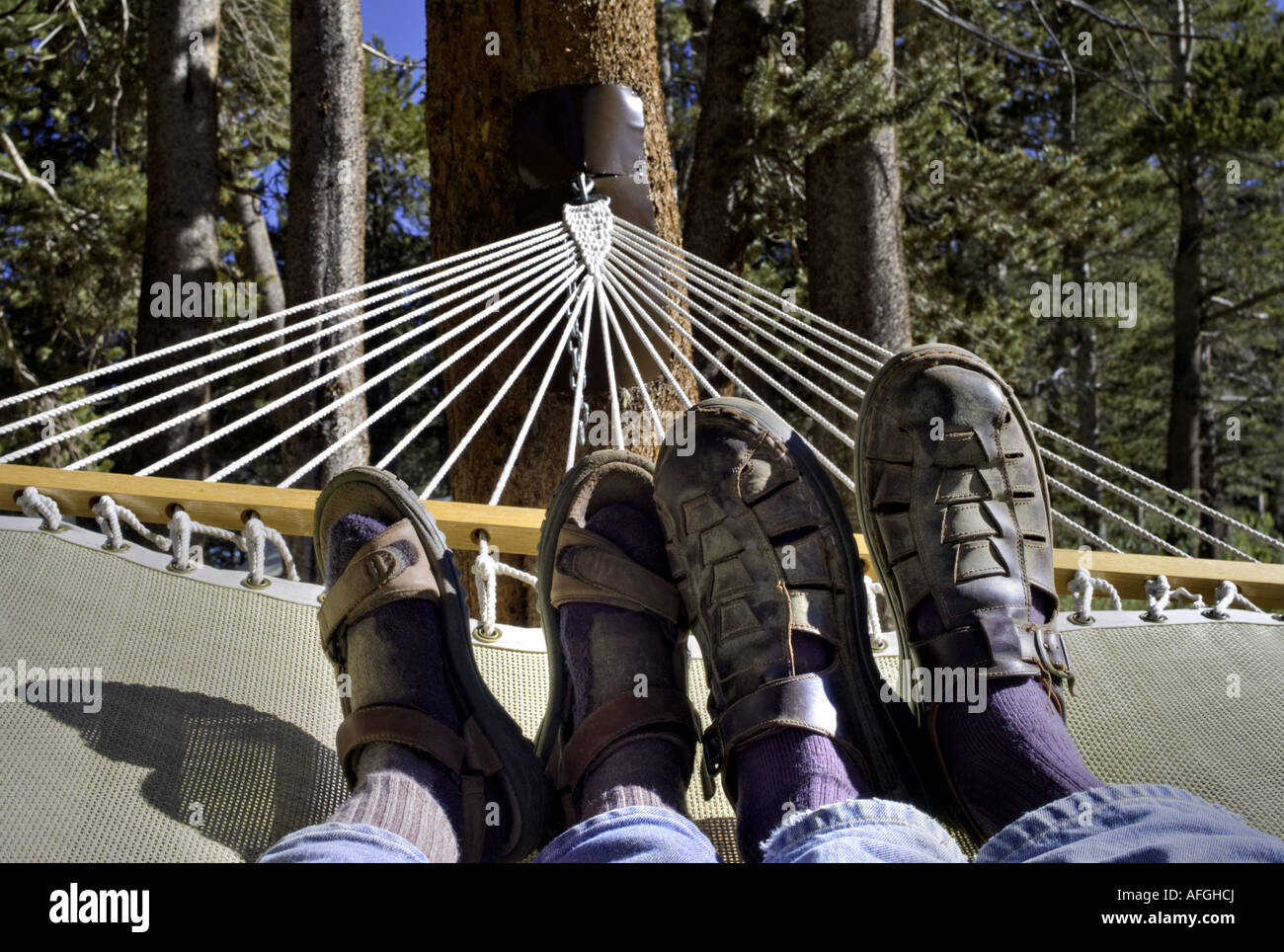CALIFORNIA SIERRA NEVADA Feet in a hammock hanging from a tree in the ...