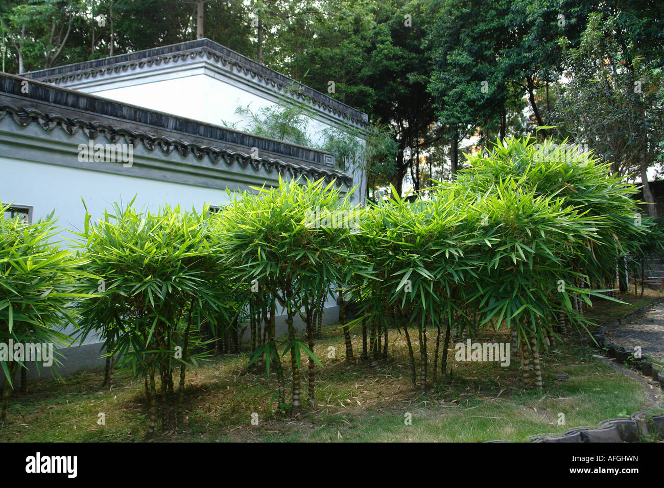 Kowloon city park Kowloon Hong Kong China Stock Photo - Alamy