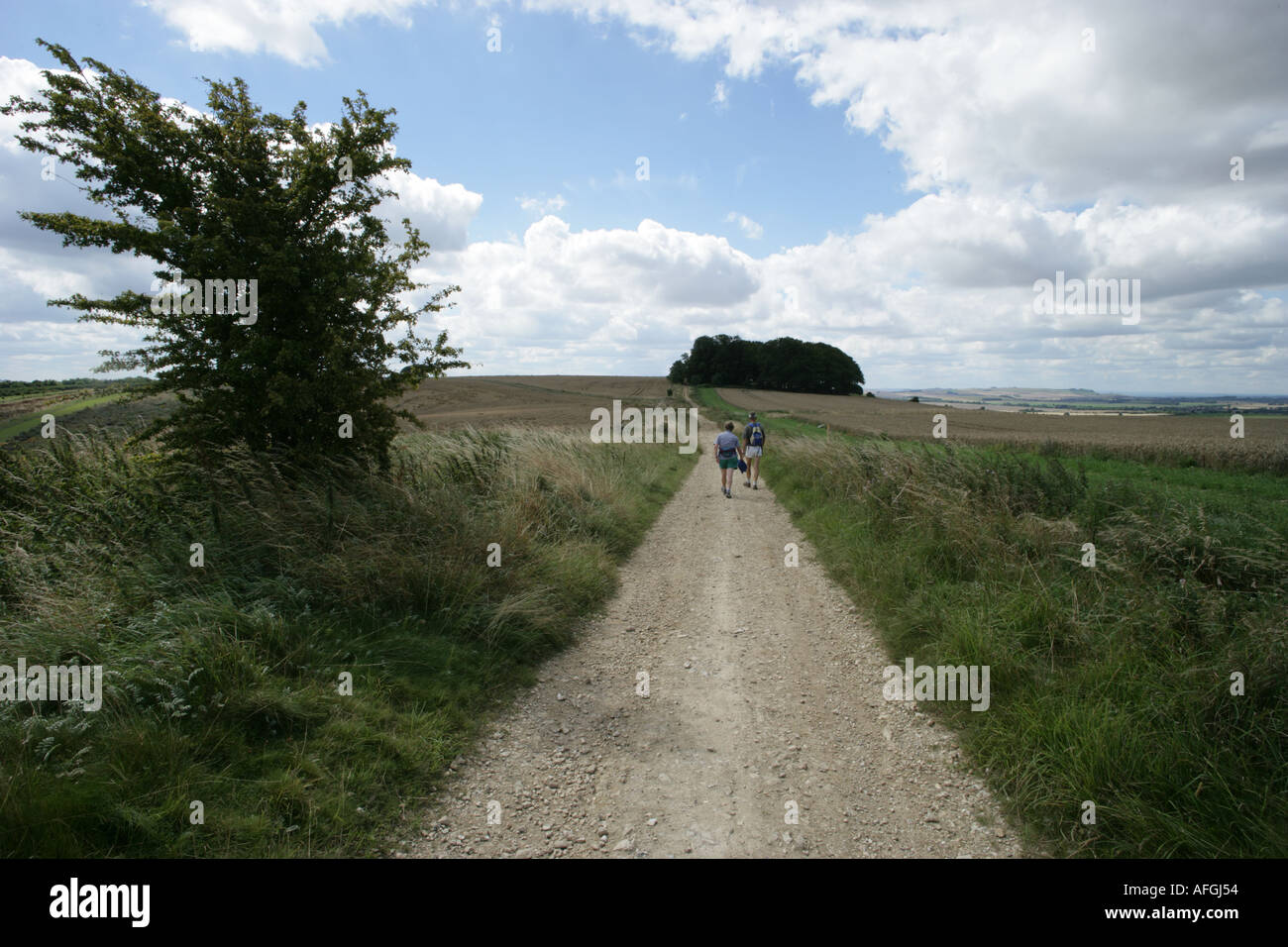 Ridgeway long distance path hi-res stock photography and images - Alamy