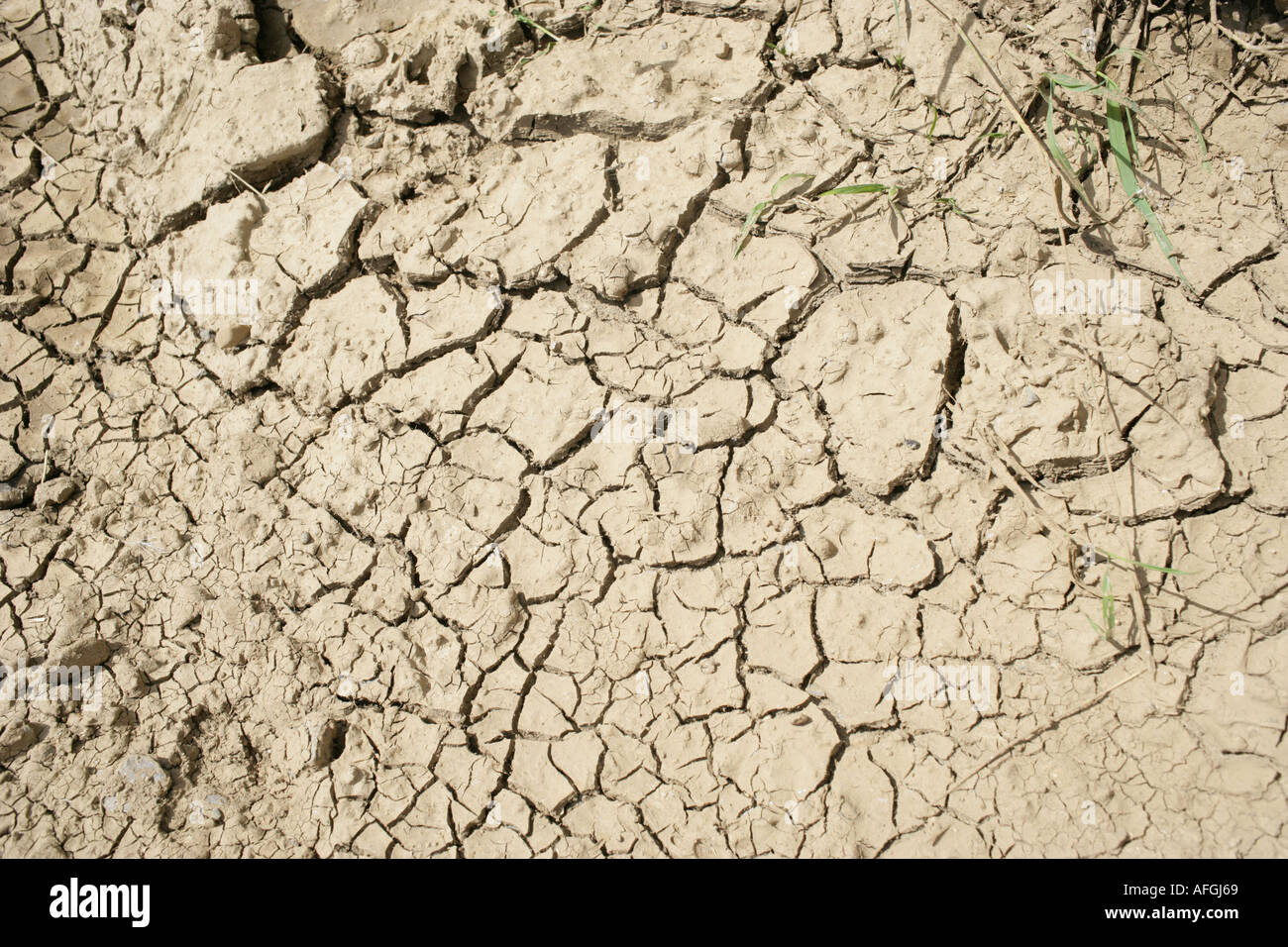 Parched conditions hi-res stock photography and images - Alamy