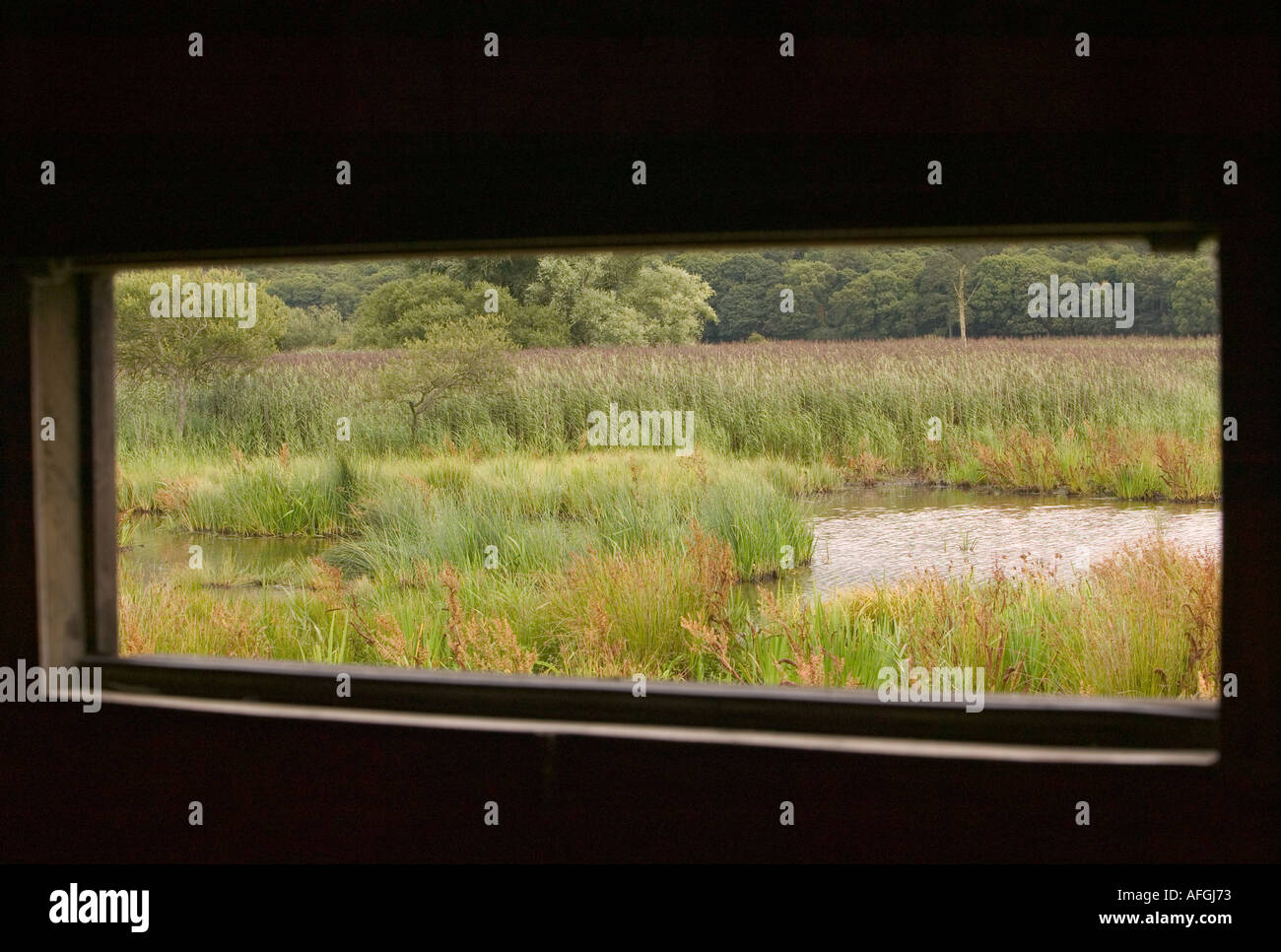 A view of the marsh and reedbed at Leighton Moss RSPB reserve from one ...