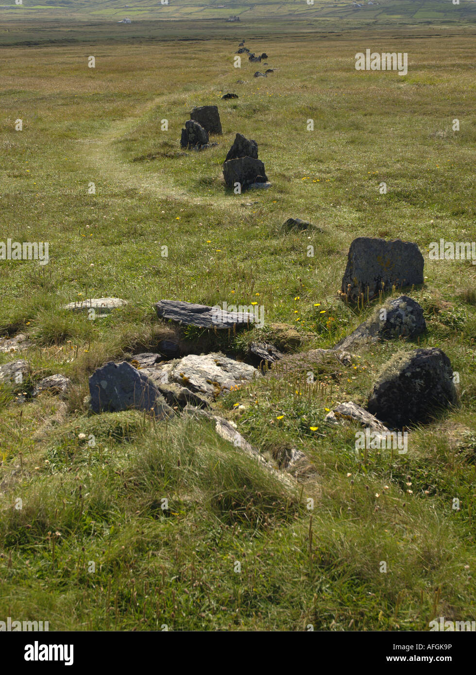 Old Bog Walkway from Paris Plain to Knightstown, Valentia Island ...