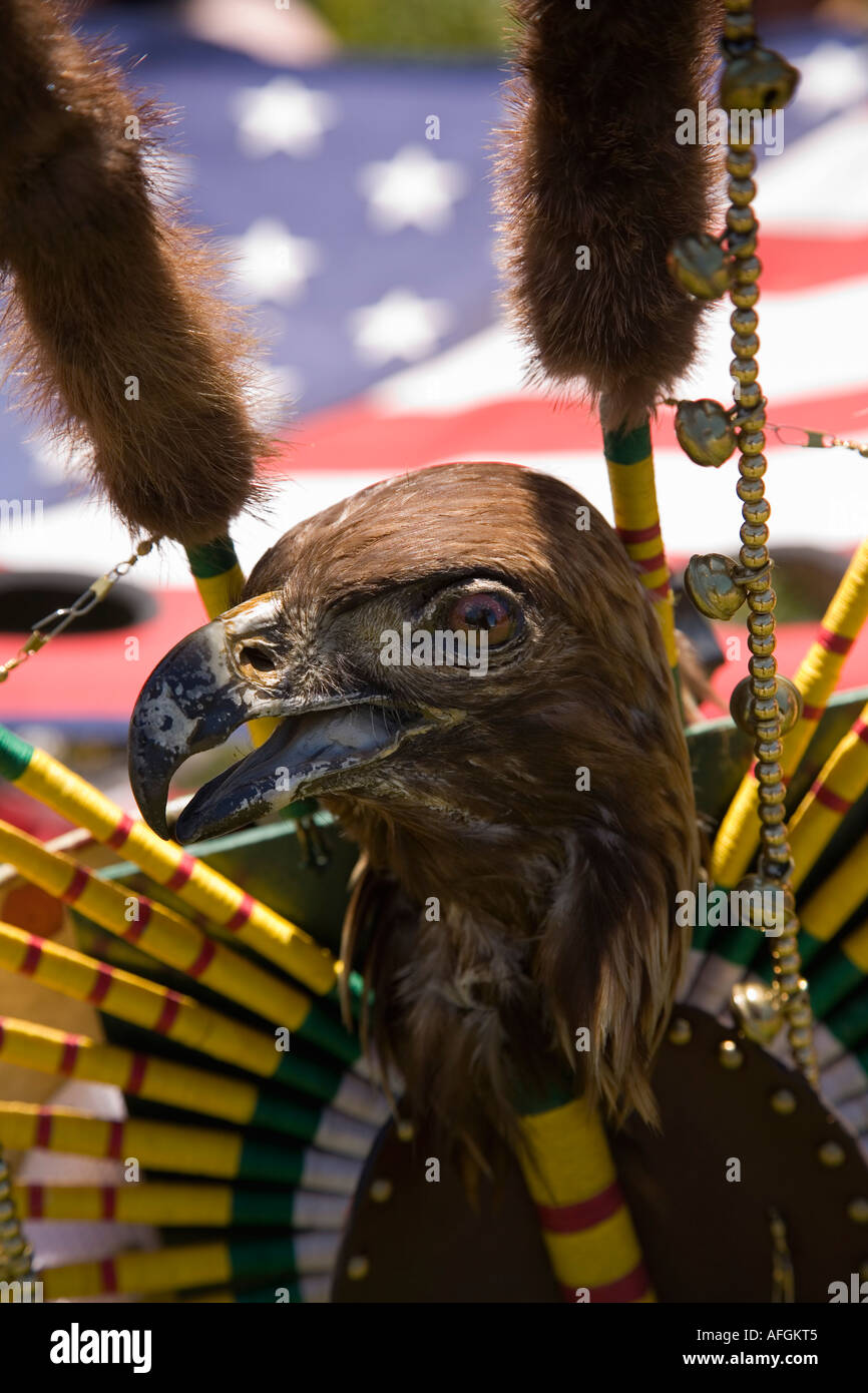 Native American Ceremonial Bustle Stock Photo - Alamy