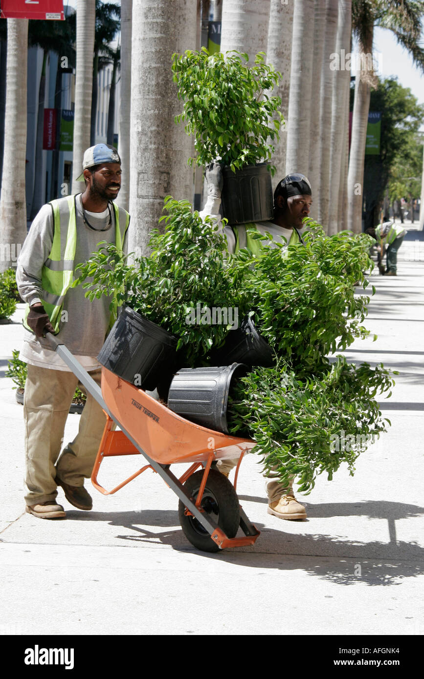 Miami Florida,Flagler Street,Black man men male,city worker,workers ...