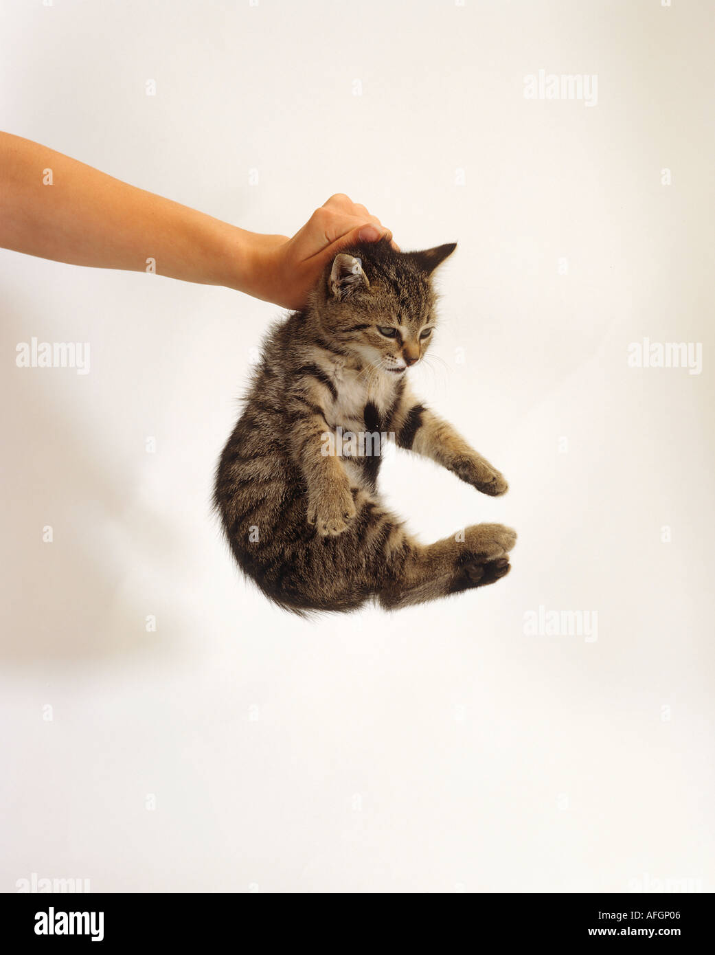 Uplifted hand hi-res stock photography and images - Alamy