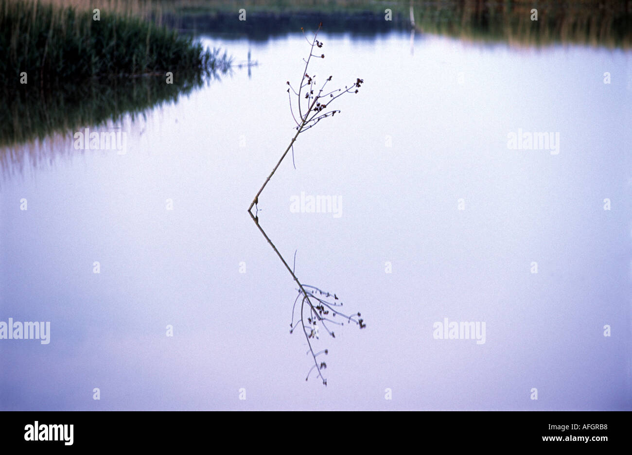 River Alde, Snape, Suffolk, UK Stock Photo - Alamy