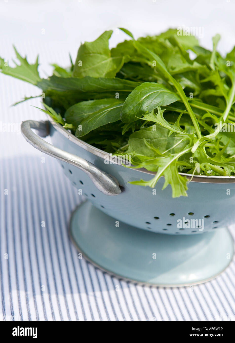Salad leaves in a blue colander Stock Photo - Alamy