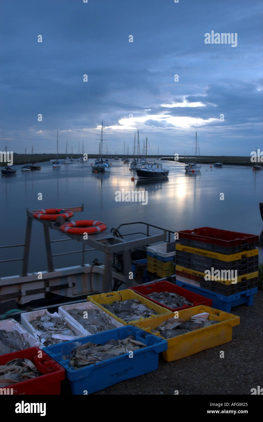 Fish on dockside hi-res stock photography and images - Alamy