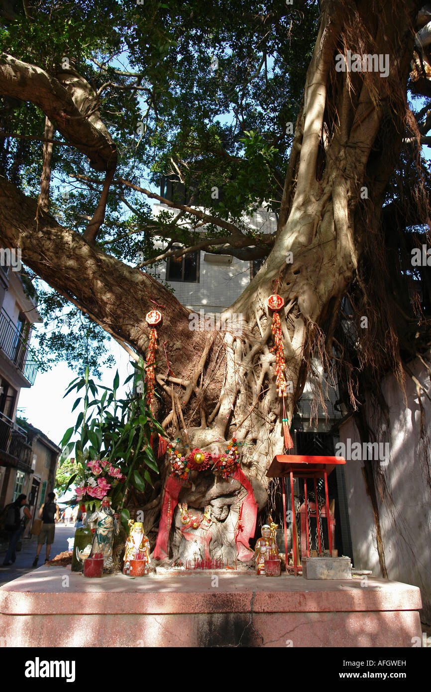 Tree goddess hi-res stock photography and images - Alamy