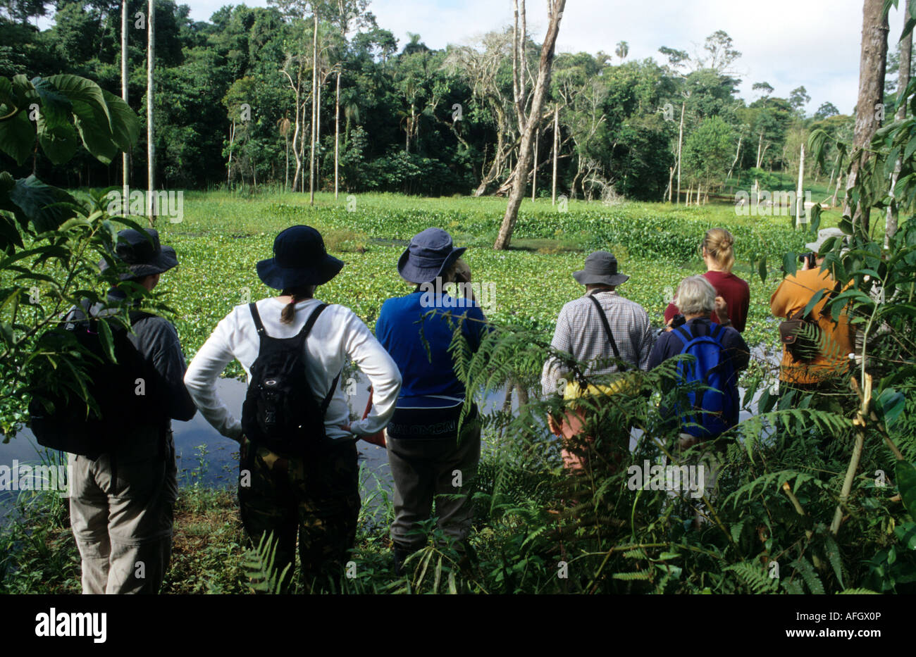Observing wildlife in the forest Stock Photo - Alamy