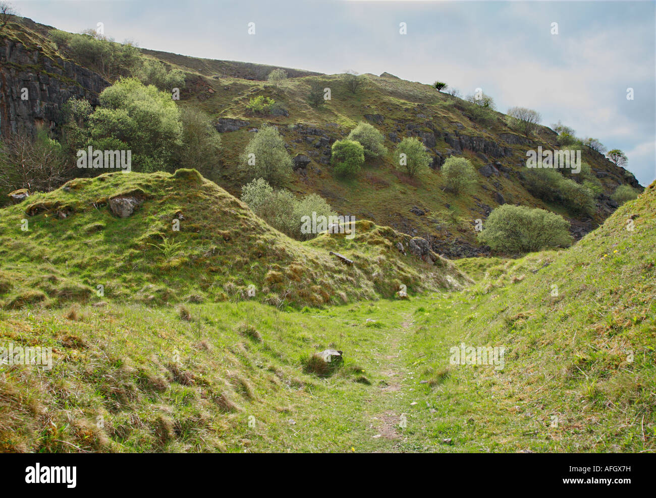 Miller's Dale quarry Derbyshire Wildlife Trust nature reserve Stock ...