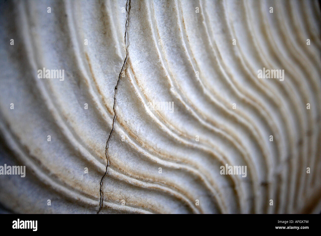 Close Up of Original Roman Carved Marble Water Trough, Ostia Antica ...